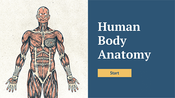 Anatomie du corps humain | Modèles Genially